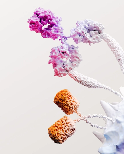 US FDA approves GSK’s Arexvy, the world’s first respiratory syncytial ... US FDA approves GSK’s Arexvy, the world’s first respiratory syncytial ...