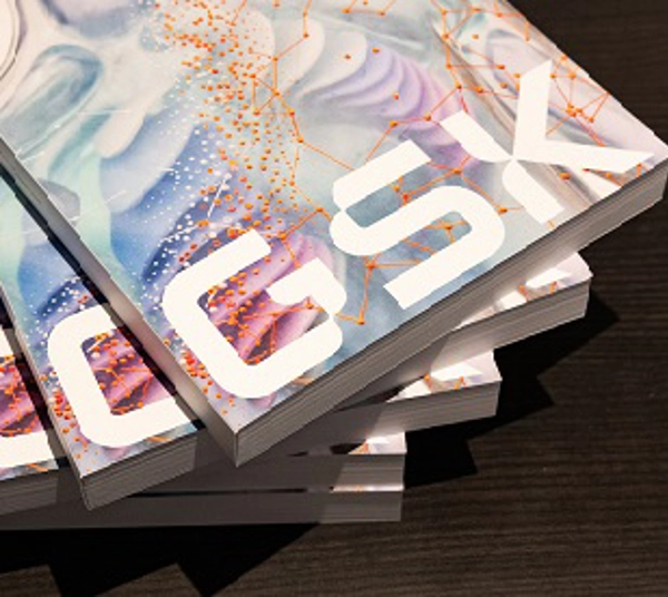 Codes, standards and reports | GSK